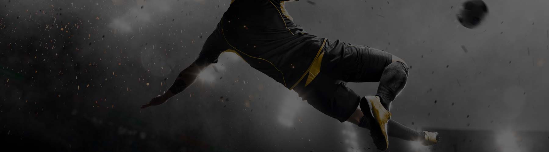 SEO Case Study - Soccer Pro